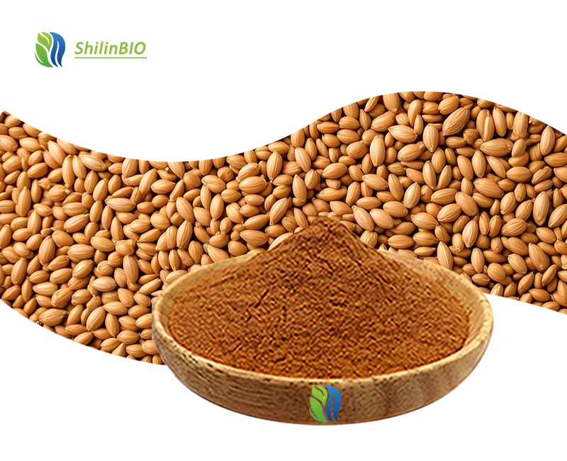 Flaxseed Extract Flax Lignans