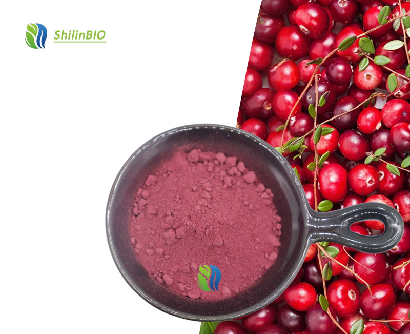Food Grade Cranberry Extract Powder Cranberry Dried Fruit Cranberry ...