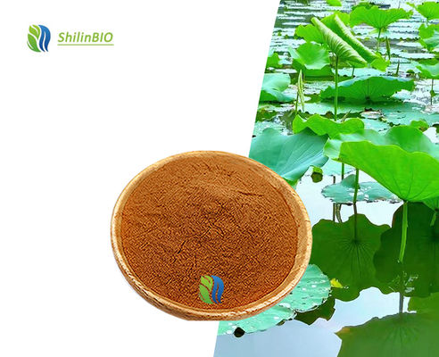 10% Nuciferine Herbal Extract Lotus Leaf Extract (CAS 475-83-2) Folium ...
